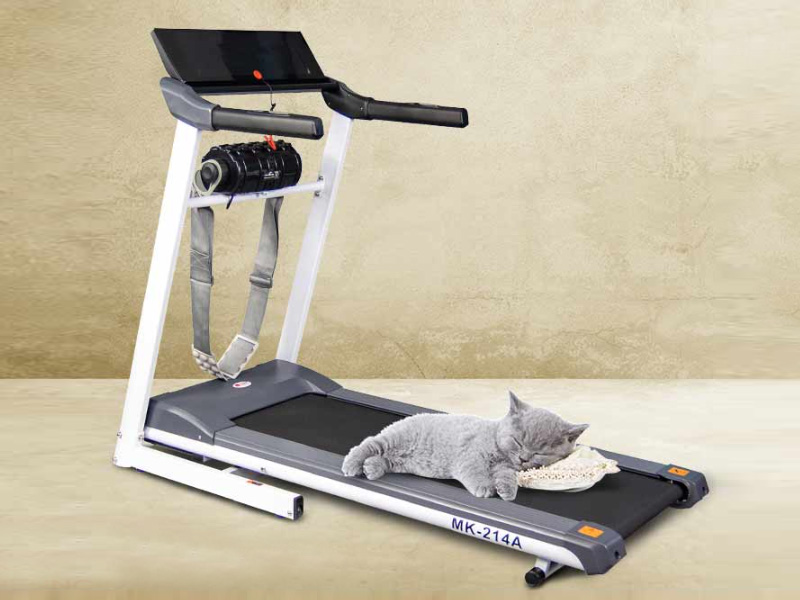 Máy chạy bộ Buheung MK-214A - META.vn